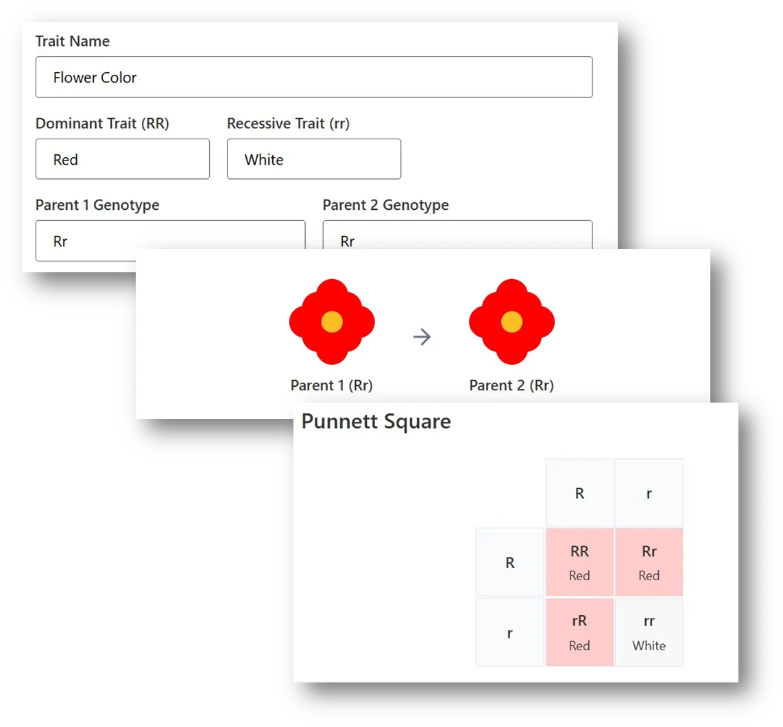 Incomplete Dominance Punnett Square - Calculator Examples & More
