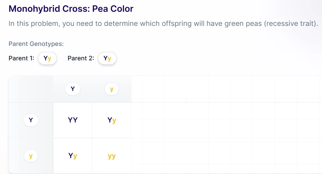 Punnett Square Practice Worksheet – Test Genetics Skills Online